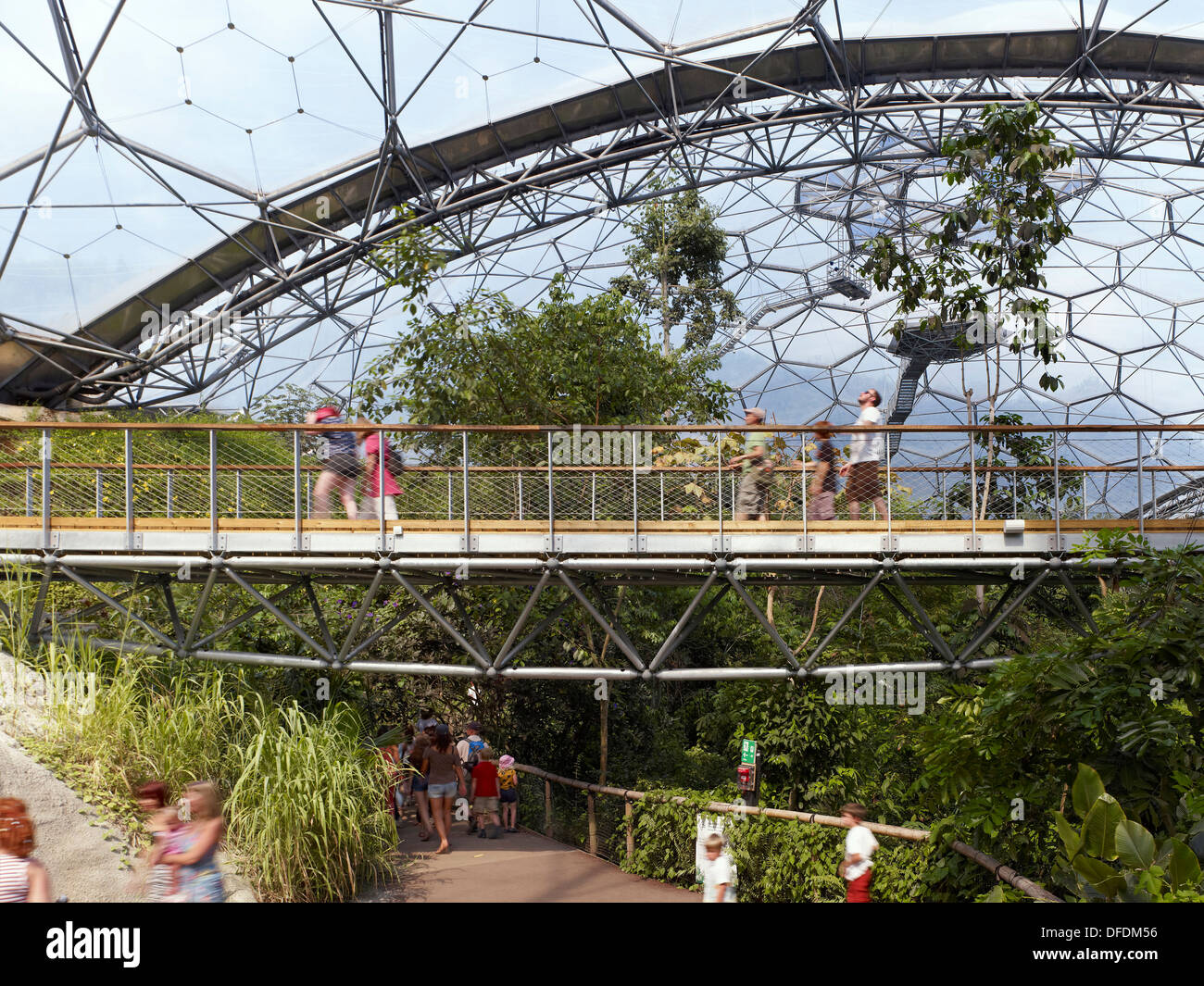 Rainforest canopy walkway eden hi-res stock photography and images - Alamy
