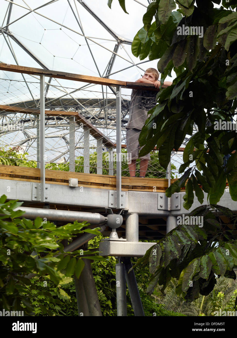 Eden Walkway at Eden Project, Bodelva, United Kingdom. Architect: Jerry ...