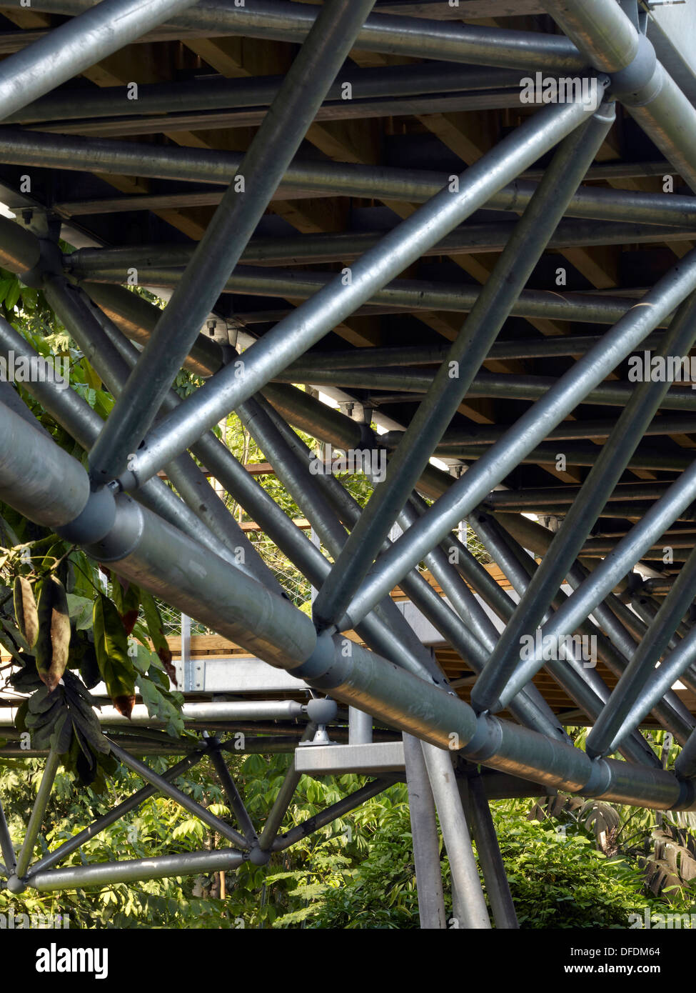 Eden Walkway at Eden Project, Bodelva, United Kingdom. Architect: Jerry ...