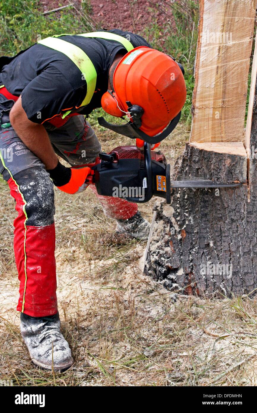 Lumberjack carving wood carving hi-res stock photography and images - Alamy