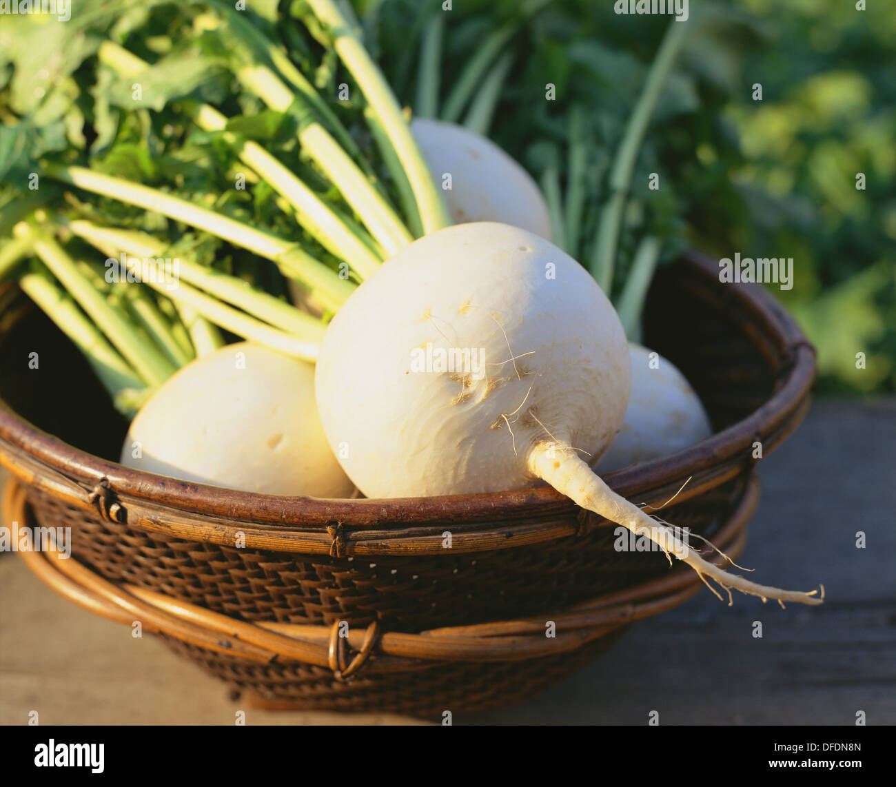 Turnip people hi-res stock photography and images - Alamy