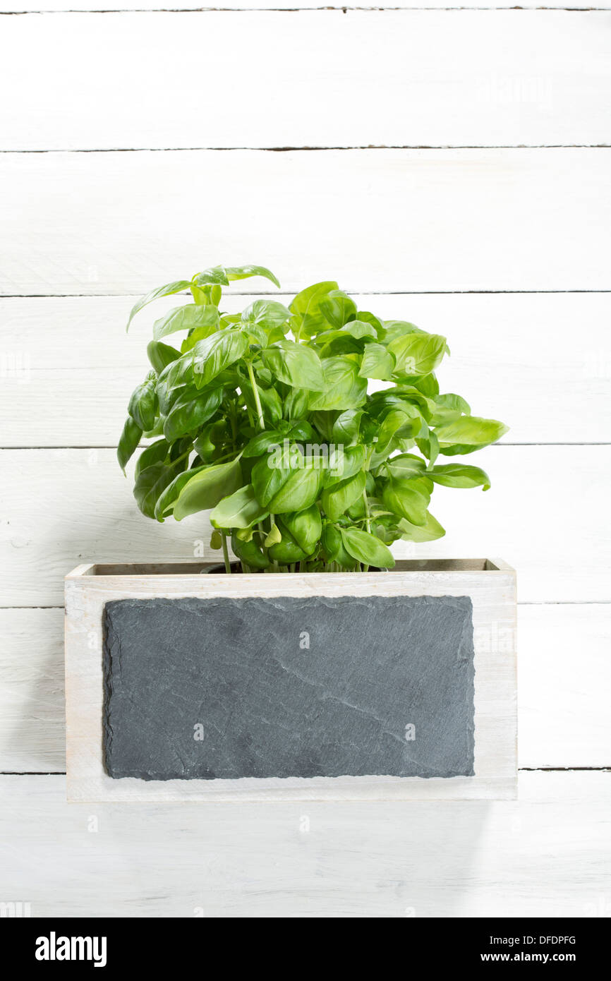 Potted basil wooden box hi-res stock photography and images - Alamy