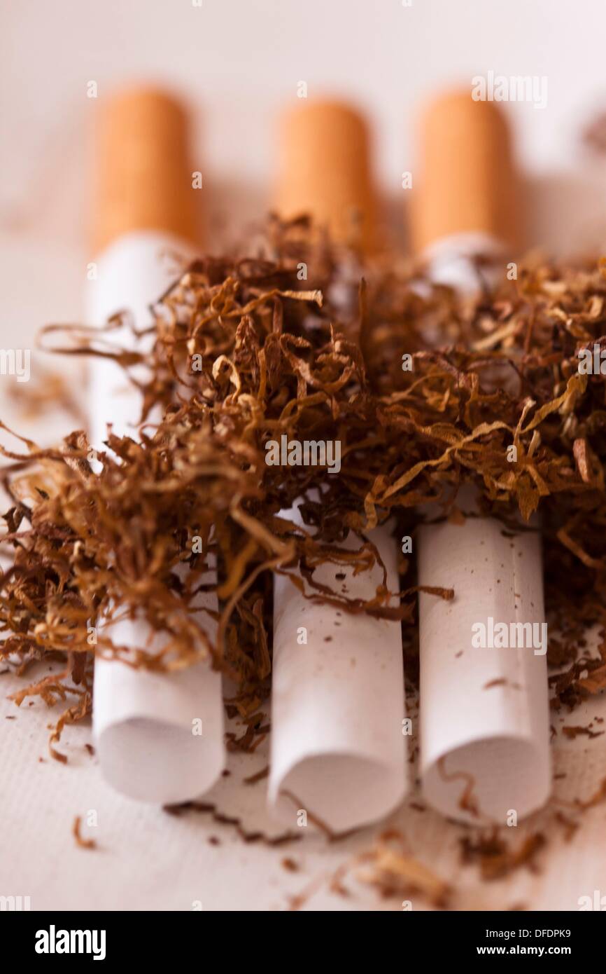 Tobacco plant 1 hi-res stock photography and images - Alamy