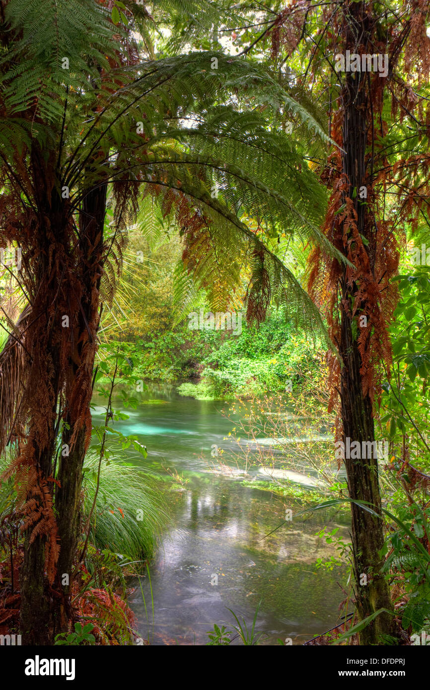 Hamurana spring hi-res stock photography and images - Alamy