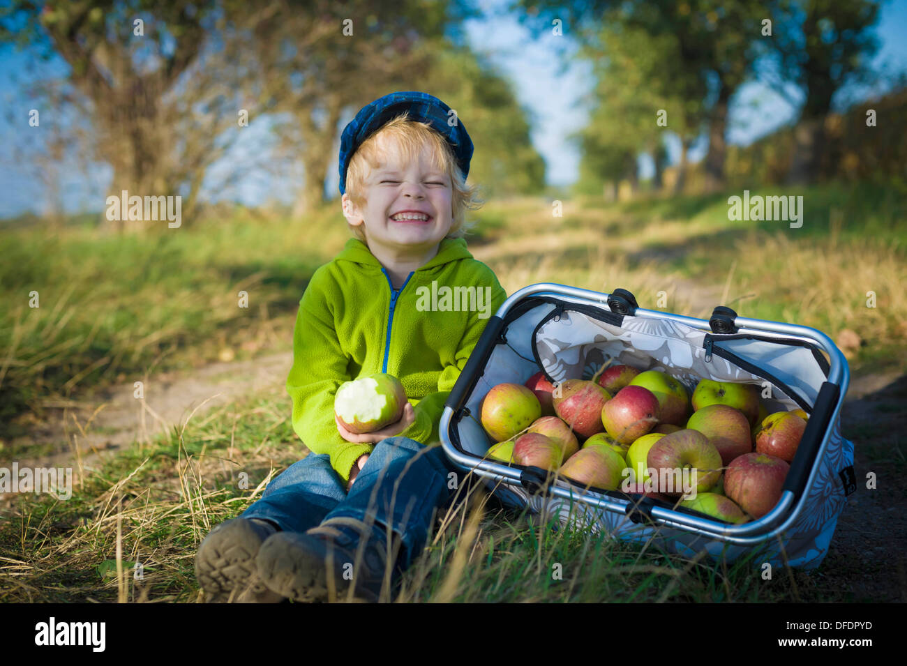 Germany, Saxony, Boy sitting with basket full of apples, smiling Stock ...
