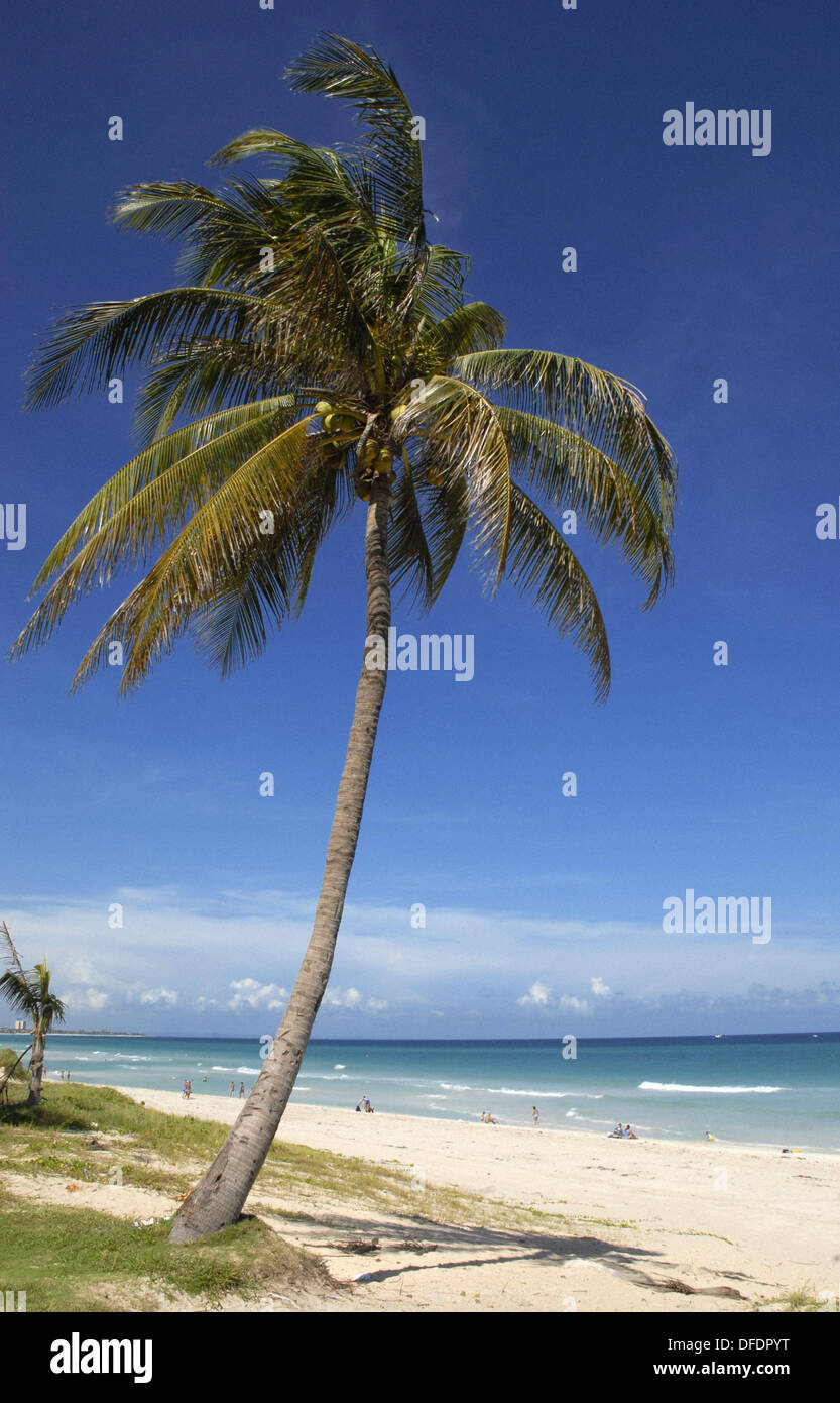 The peninsula of varadero hi-res stock photography and images - Alamy