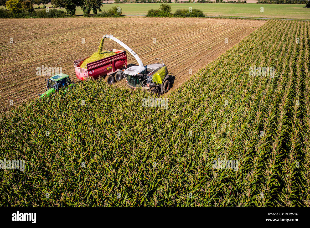Combine harvester corn hi-res stock photography and images - Alamy