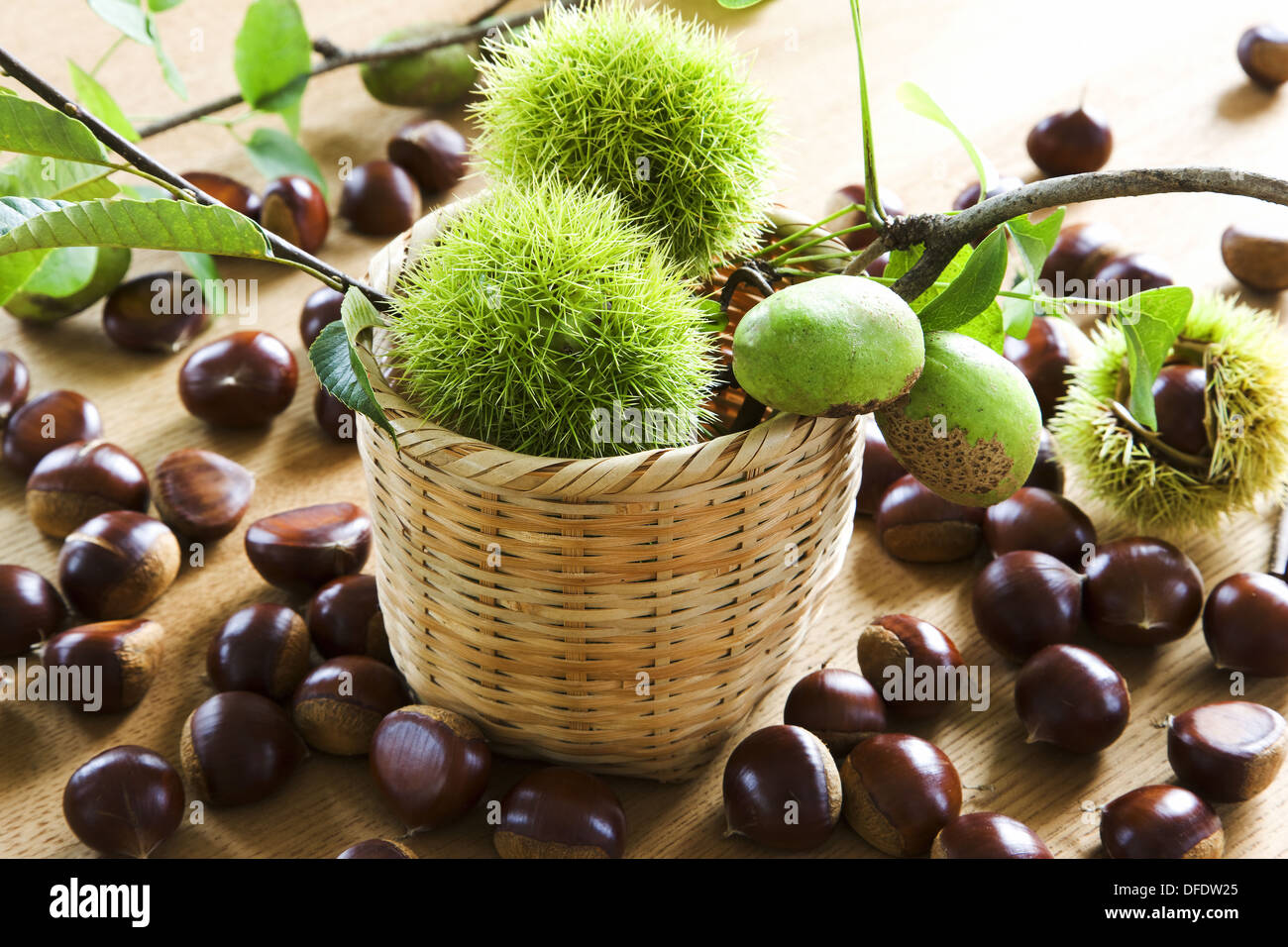 Chestnut vine hi-res stock photography and images - Alamy