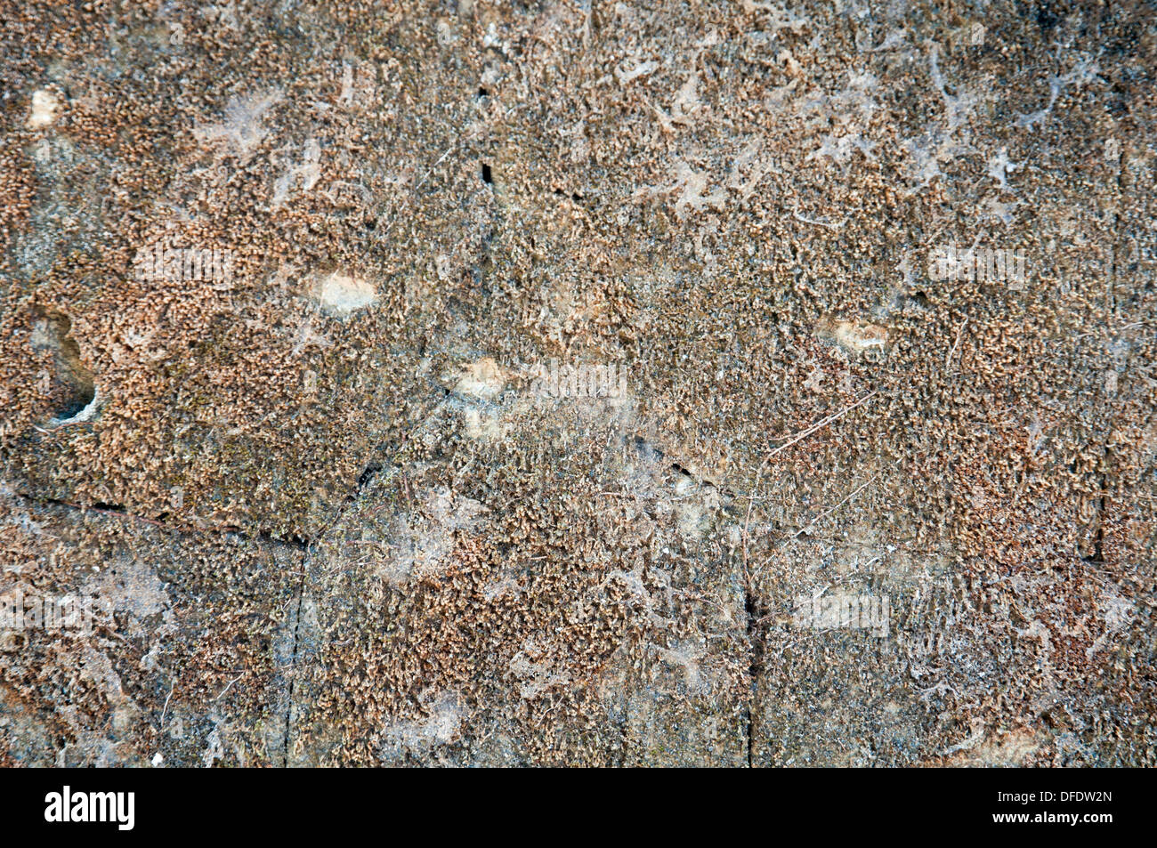Lava stone surface hi-res stock photography and images - Alamy