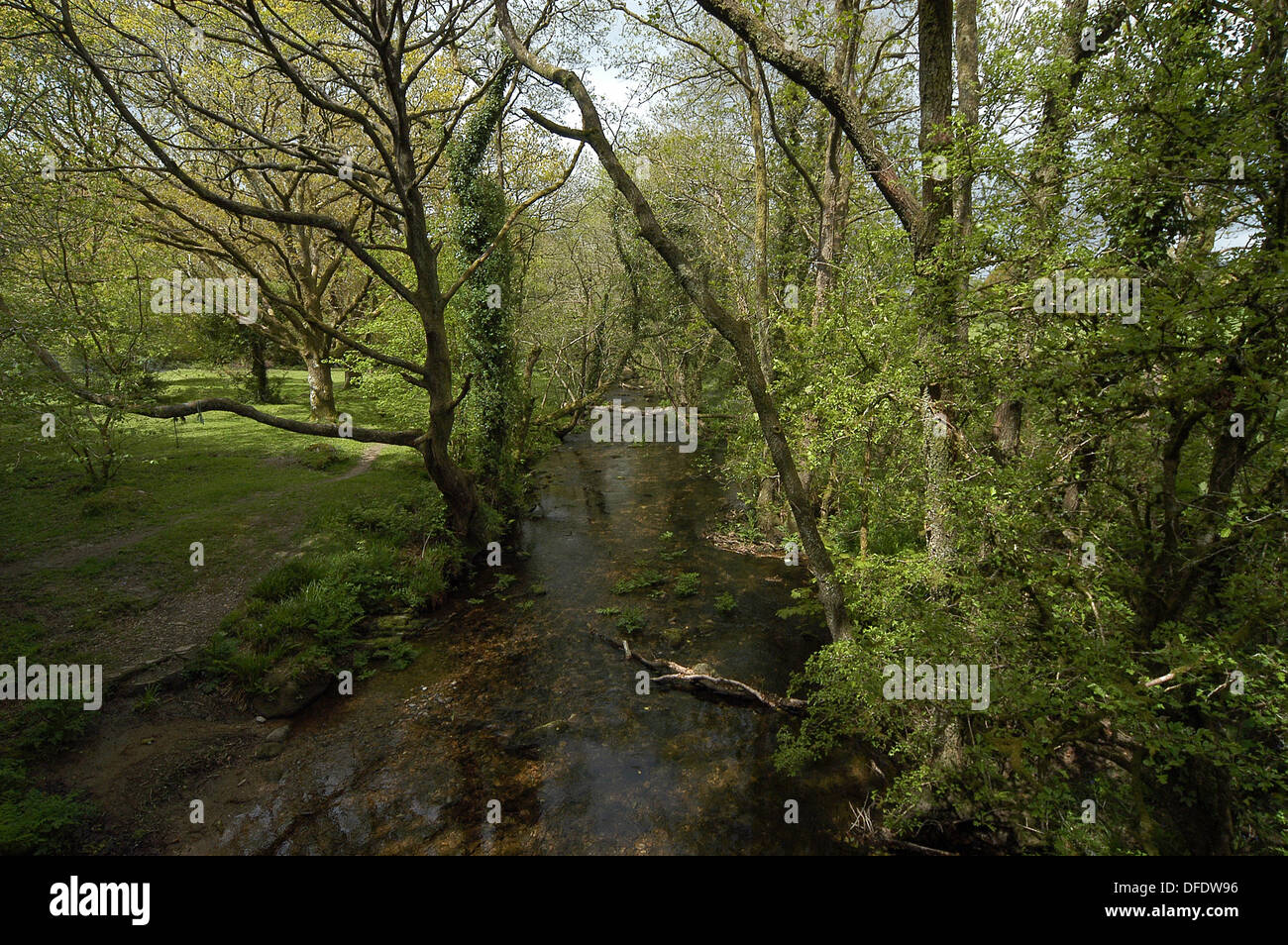 Meavy devon hi-res stock photography and images - Alamy