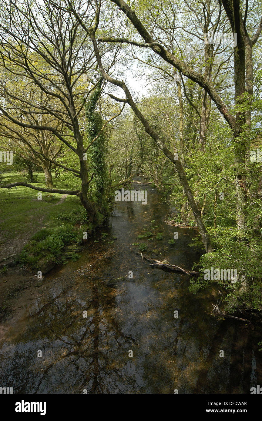The River Meavy at Meavy, Dartmoor, Devon Stock Photo - Alamy