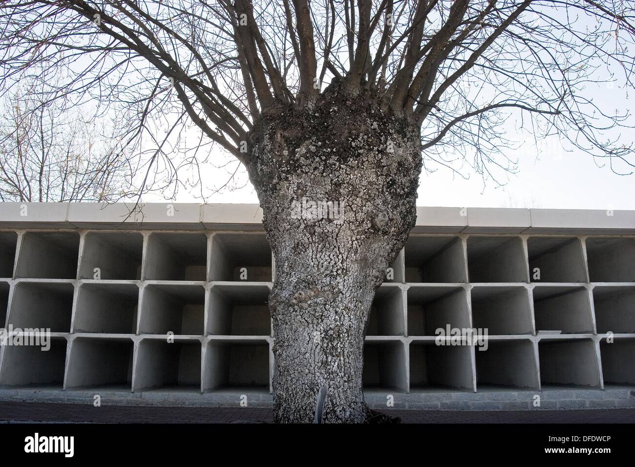 Empty tombs in cemetery hi-res stock photography and images - Alamy