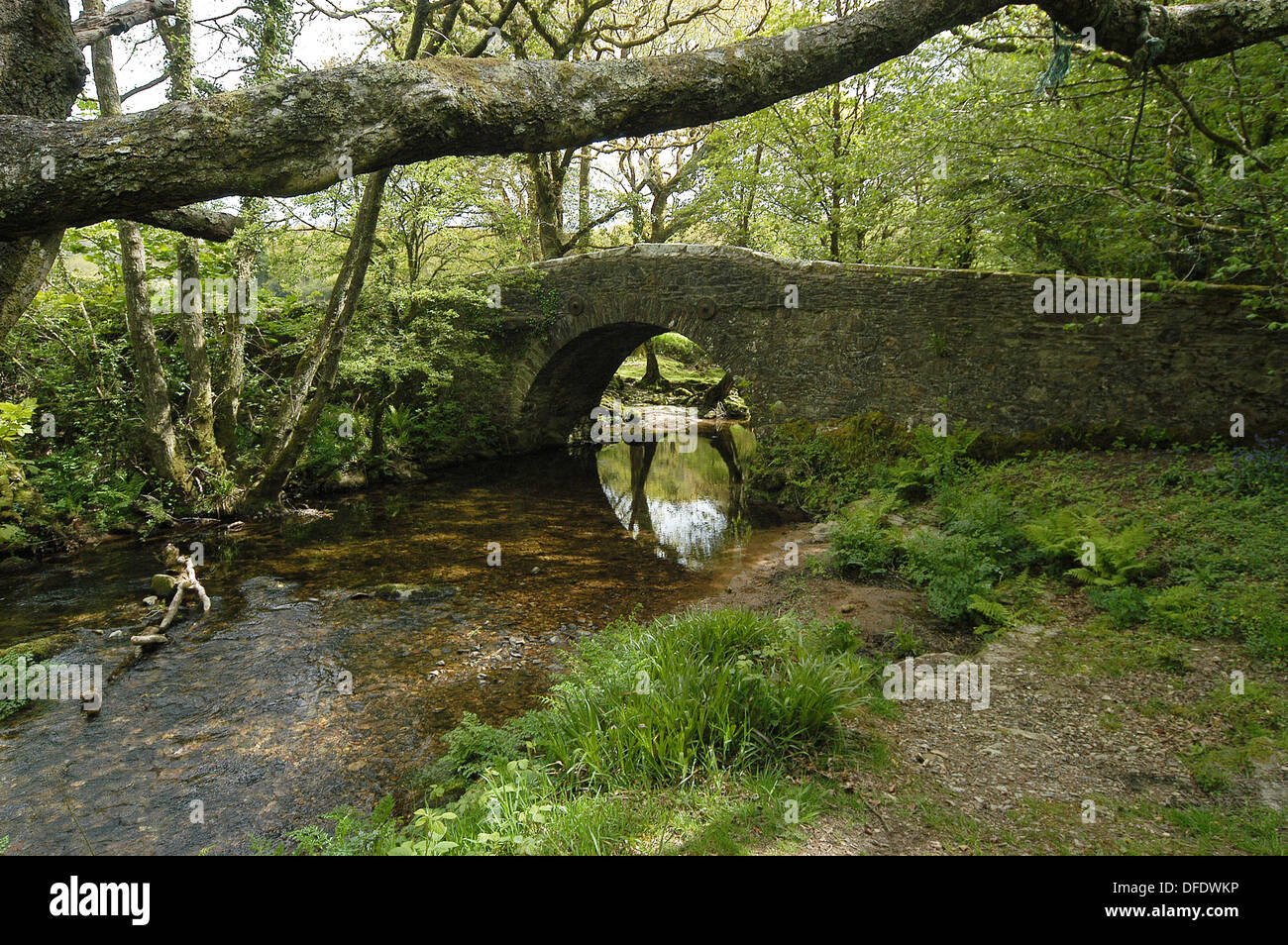 Higher Meavy Bridge, Meavy, Dartmoor, Devon Stock Photo - Alamy