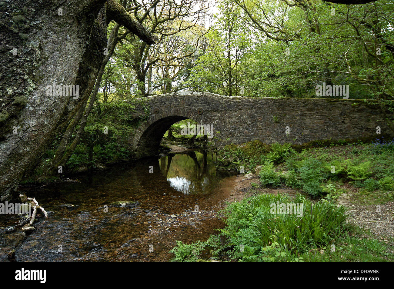 Meavy devon hi-res stock photography and images - Alamy