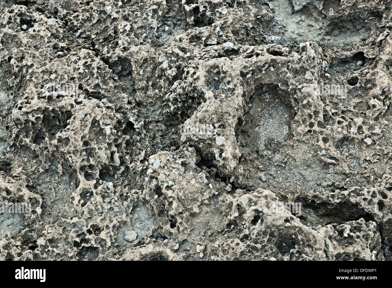 Coquina cement hi-res stock photography and images - Alamy