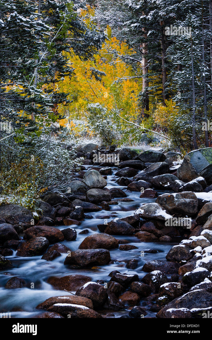Fall foliage at creek eastern sierra hi-res stock photography and ...