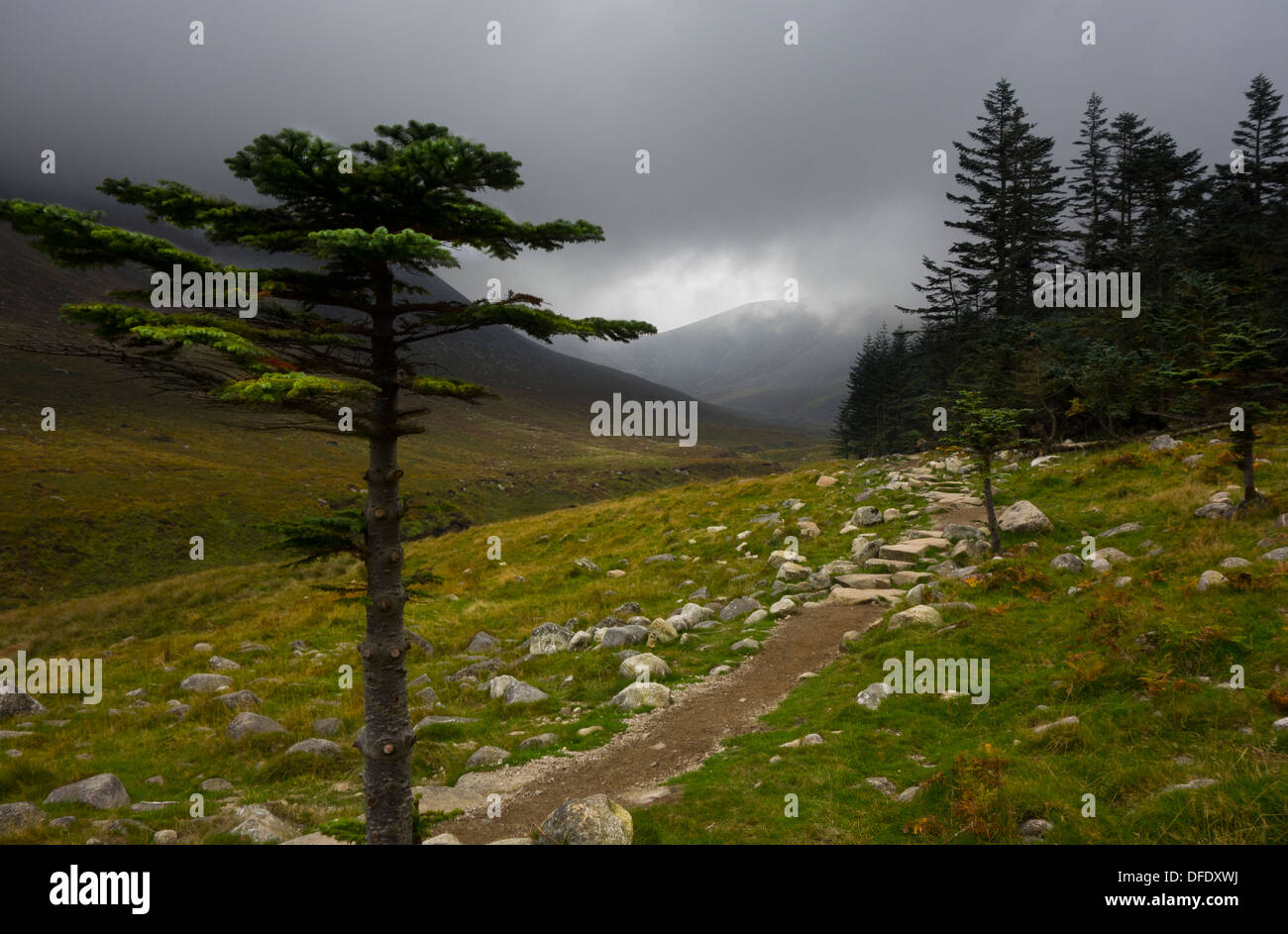 Glenn River path Stock Photo - Alamy
