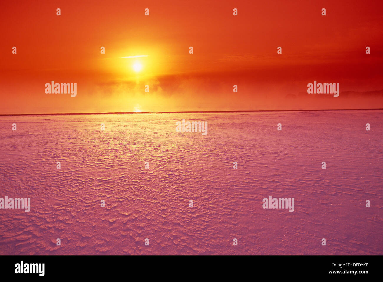 Higashimatsushima hi-res stock photography and images - Alamy