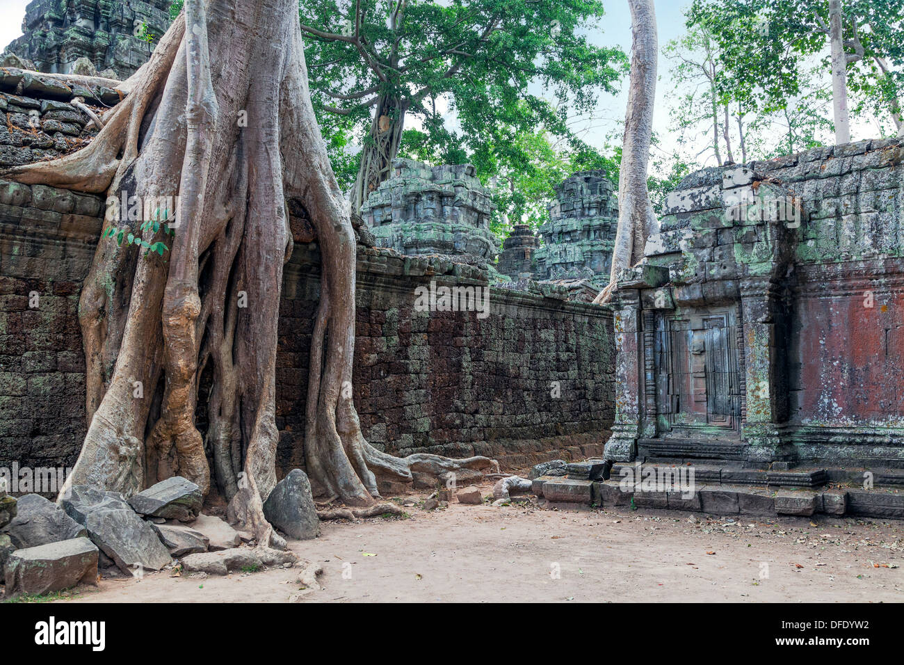 The ruins of Ta Prohm Temple in Cambodia Stock Photo - Alamy