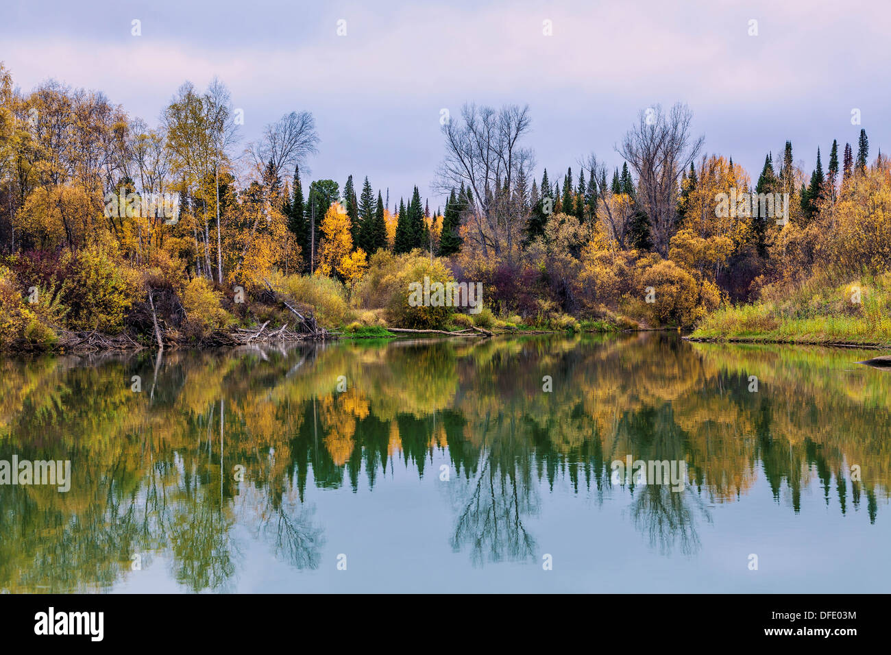 Autumn in Siberia Stock Photo - Alamy
