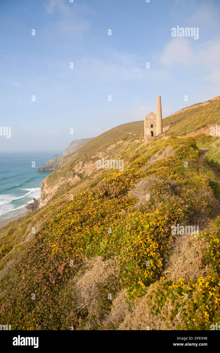 Towan Roath Engine House ruins at Wheal Coates tin mine, St Agnes Head ...