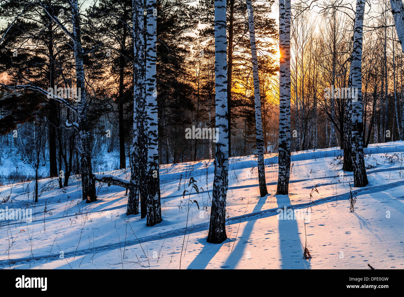 Siberia winter hi-res stock photography and images - Alamy