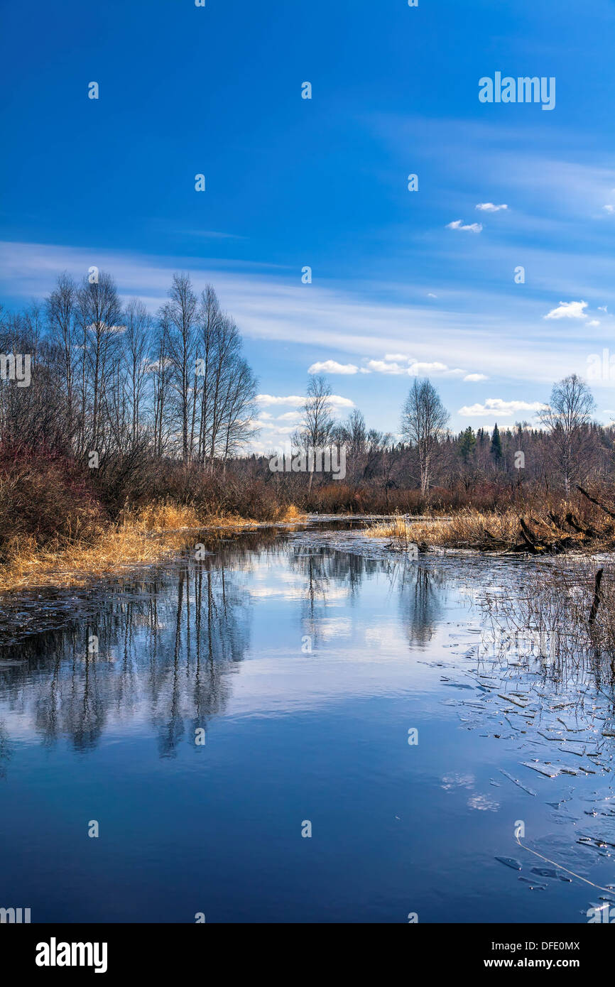 Spring in Siberia Stock Photo - Alamy