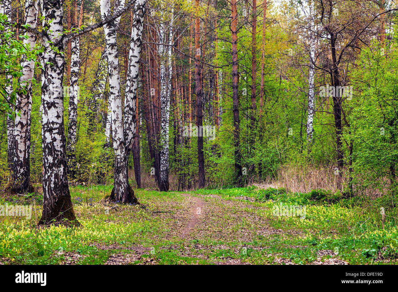 Beautiful spring landscape with Siberian nature Stock Photo - Alamy