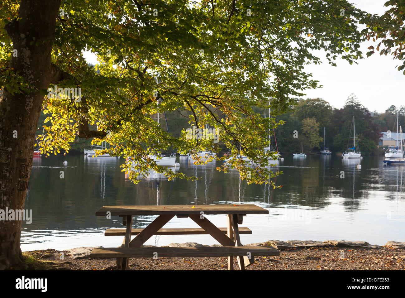 Picnic table by a lake Stock Photo - Alamy