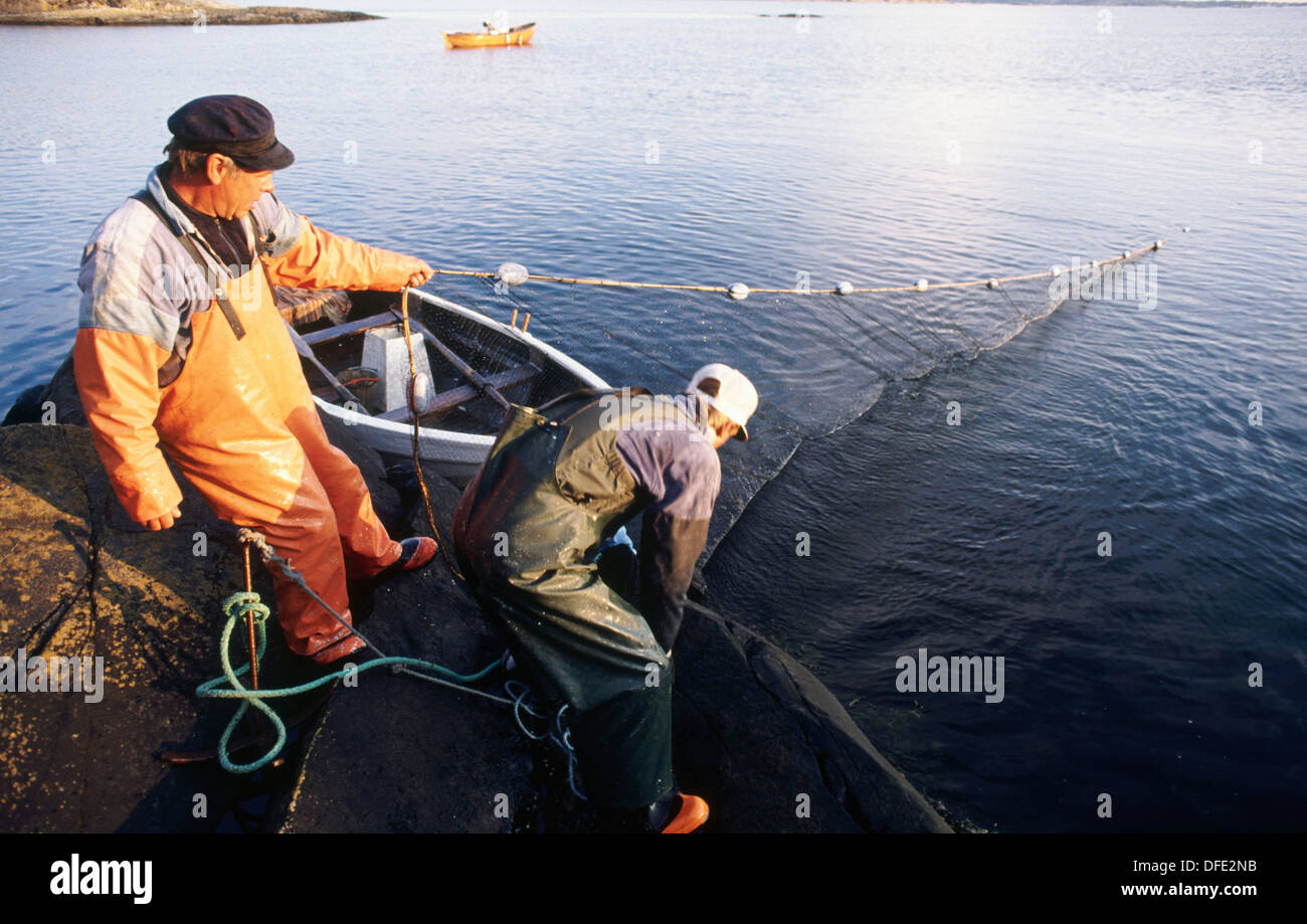 Herring boat with net full of herring hi-res stock photography and ...