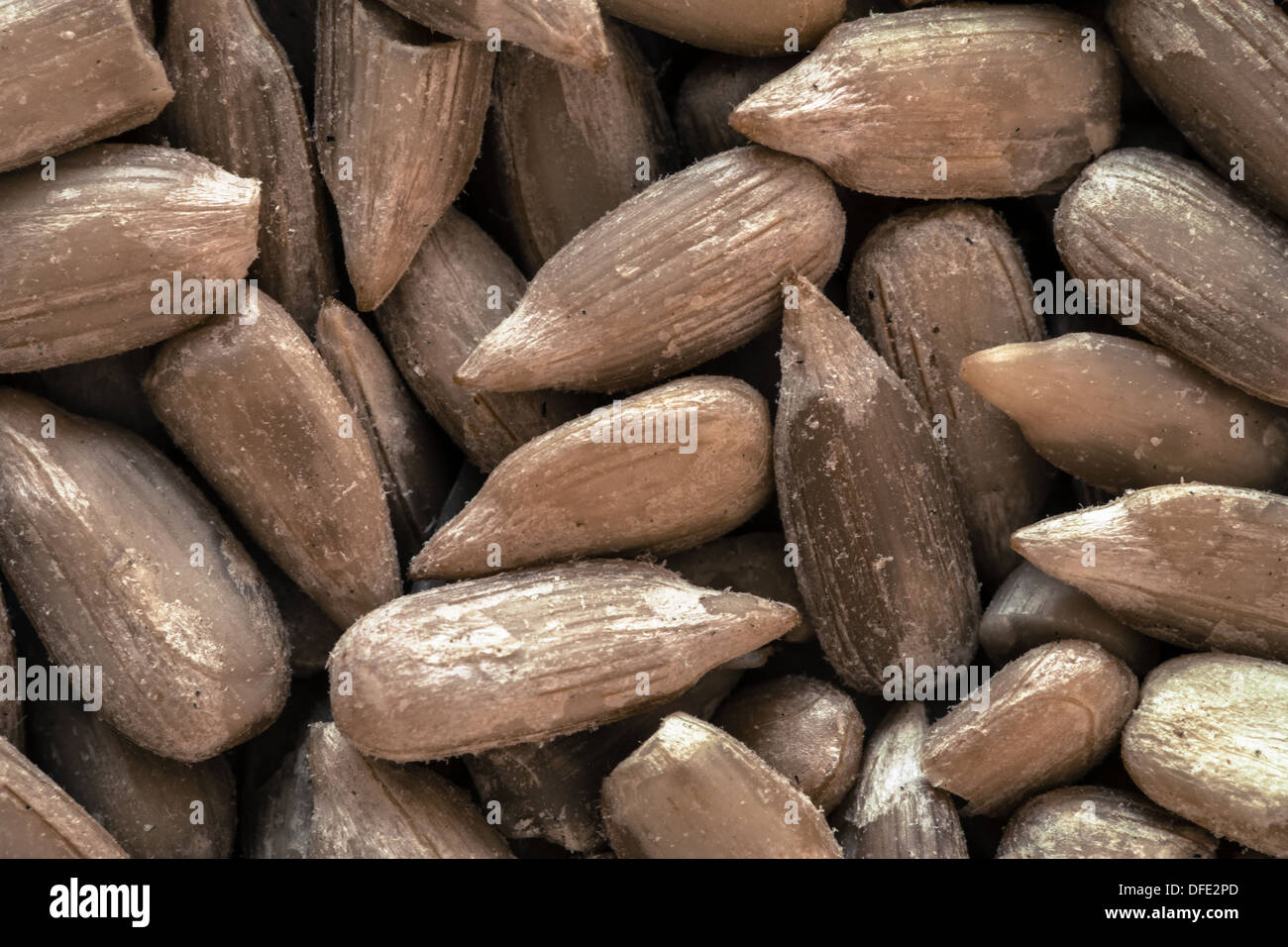 Hard seed hi-res stock photography and images - Alamy