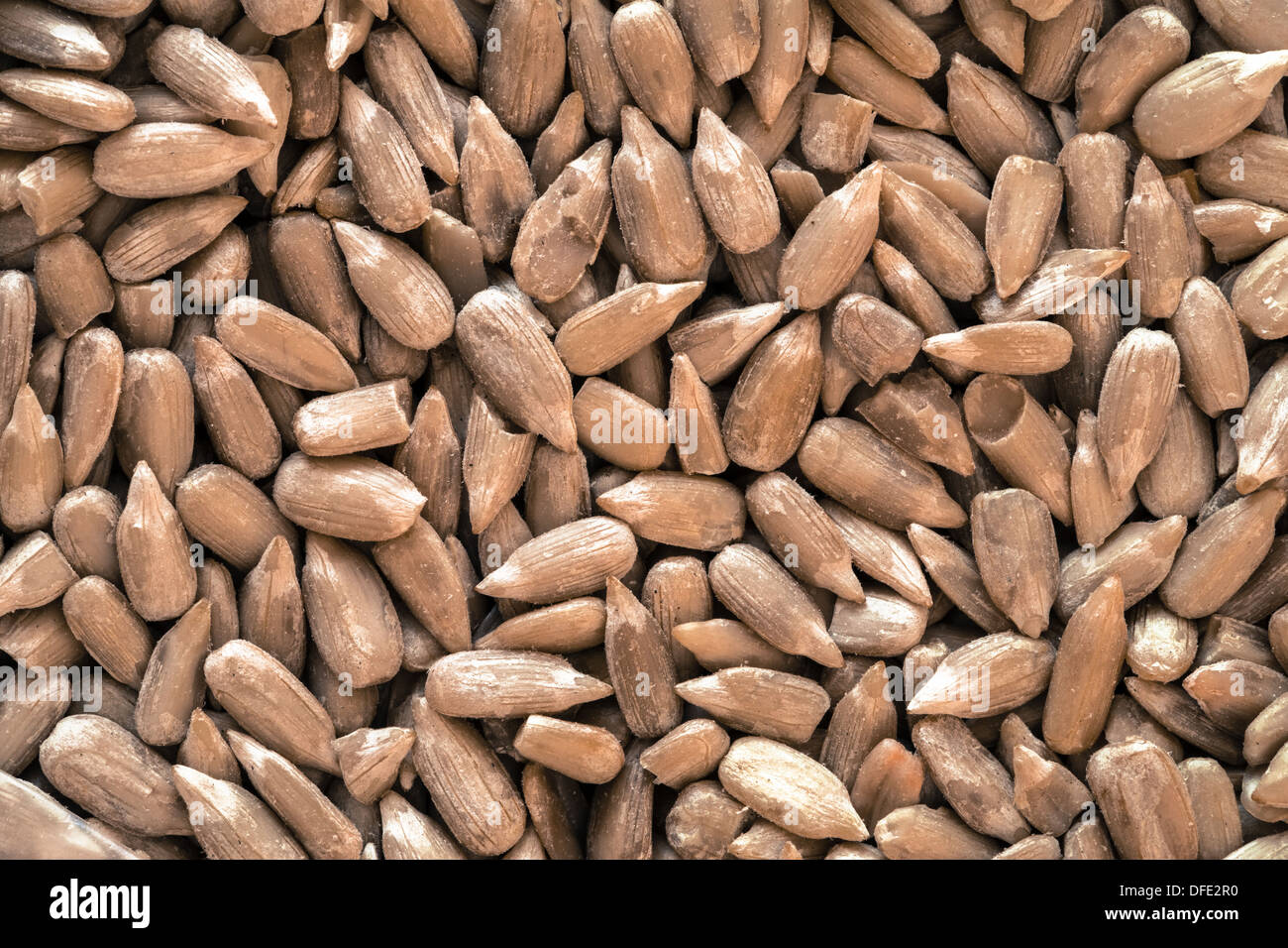 Hard seed hi-res stock photography and images - Alamy