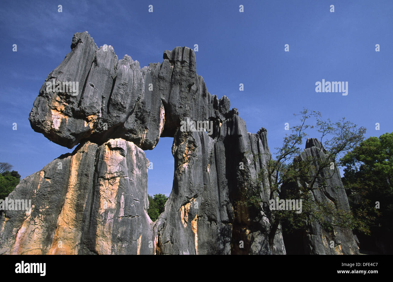 Shi lin stone forest hi-res stock photography and images - Alamy