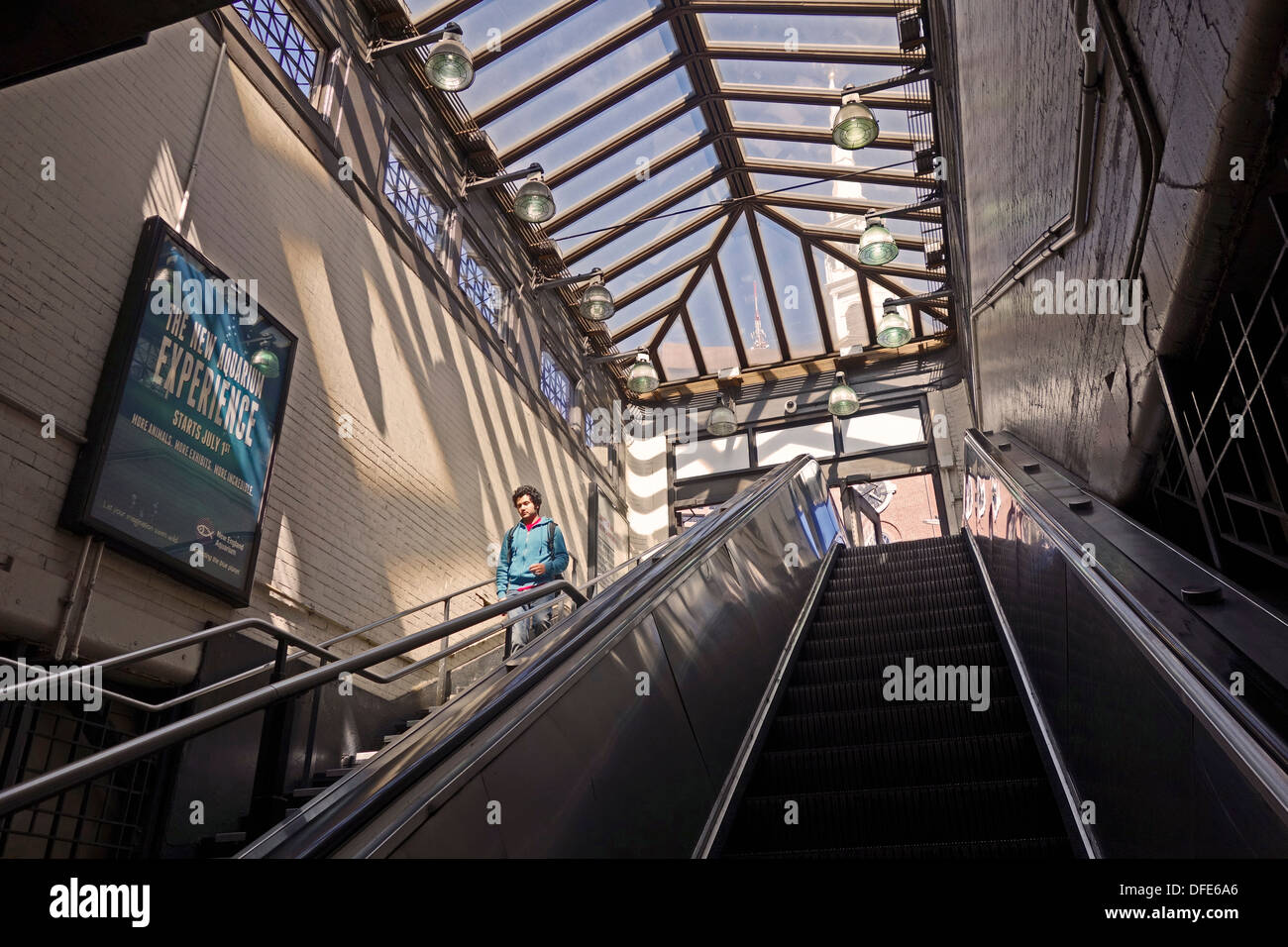 Boston t hi-res stock photography and images - Alamy