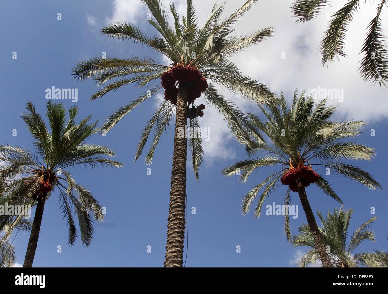 Yunis name in arabic hi-res stock photography and images - Alamy