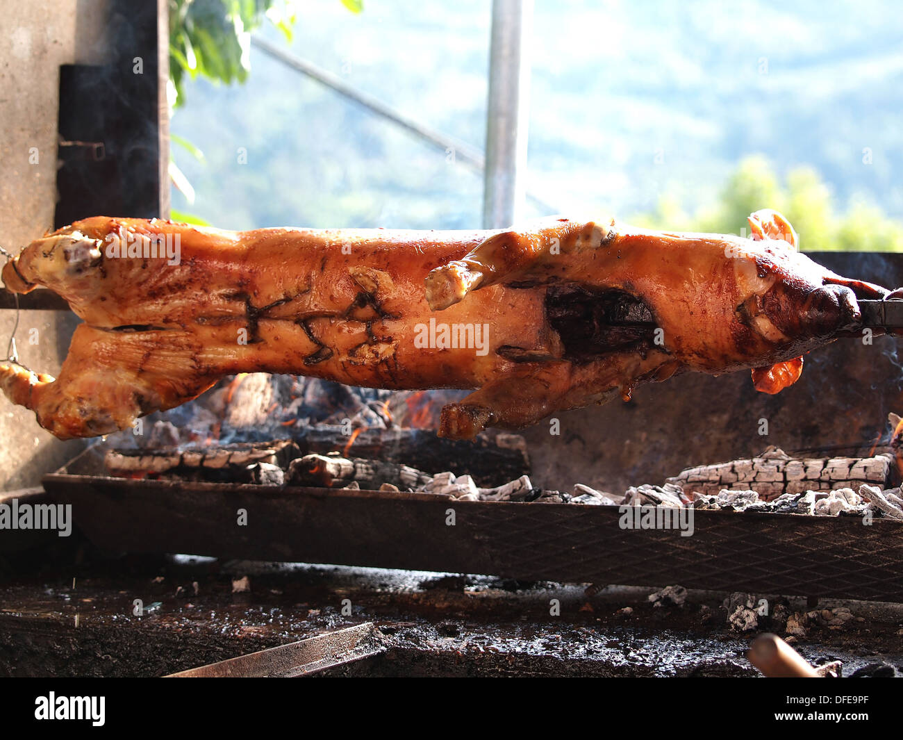 grilled pig on the fire Stock Photo - Alamy