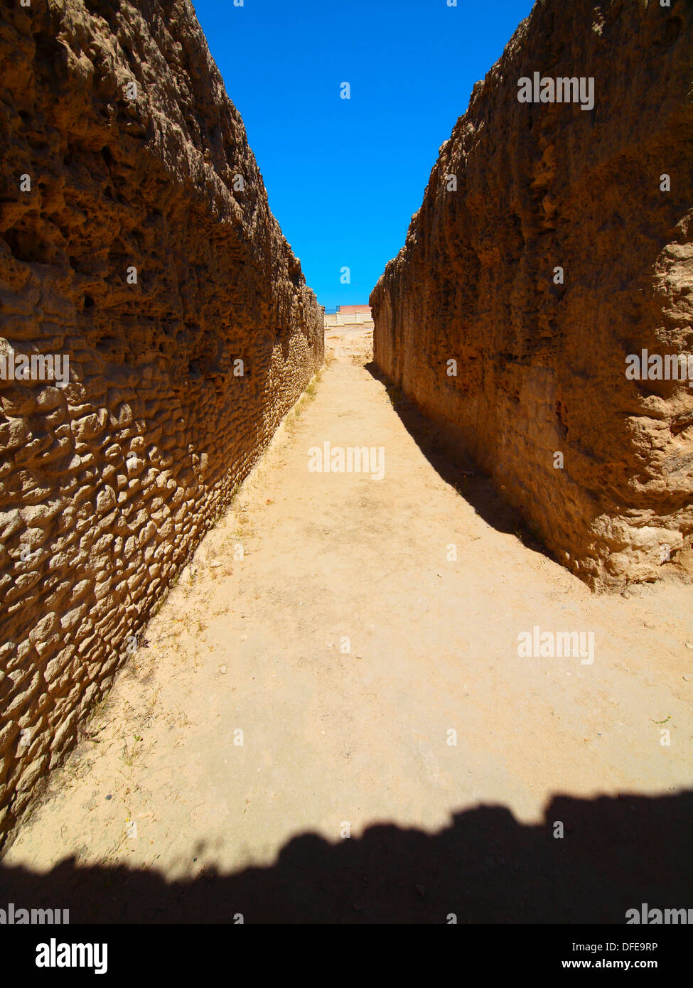 Serapeum hi-res stock photography and images - Alamy