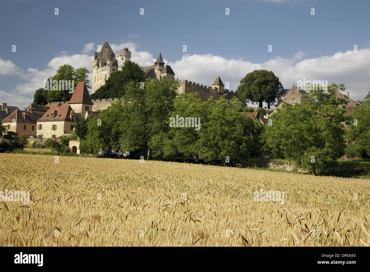 Monfort castle hi-res stock photography and images - Alamy