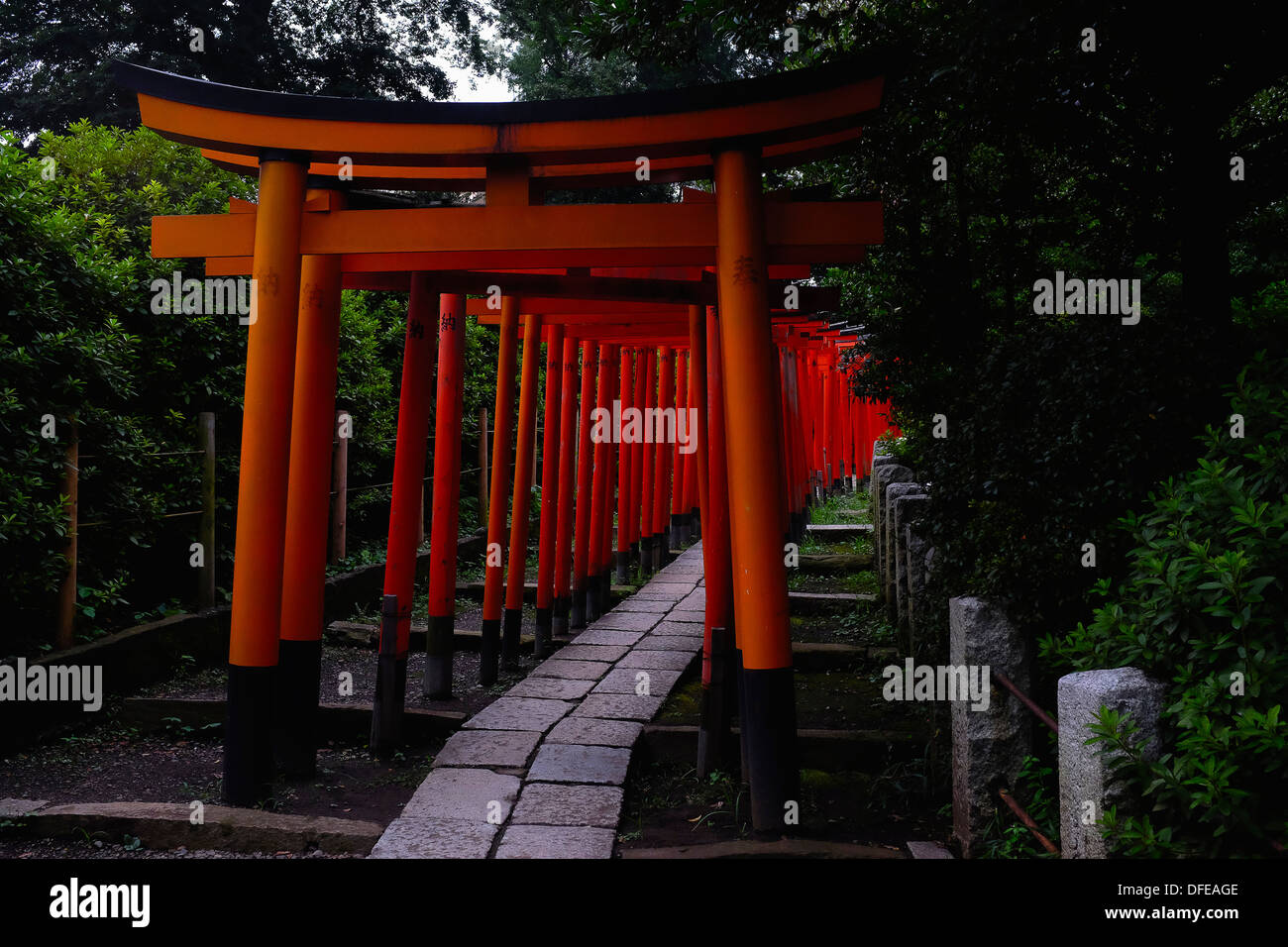 Torii gates (shrine gates) of Nezu shirine Stock Photo - Alamy