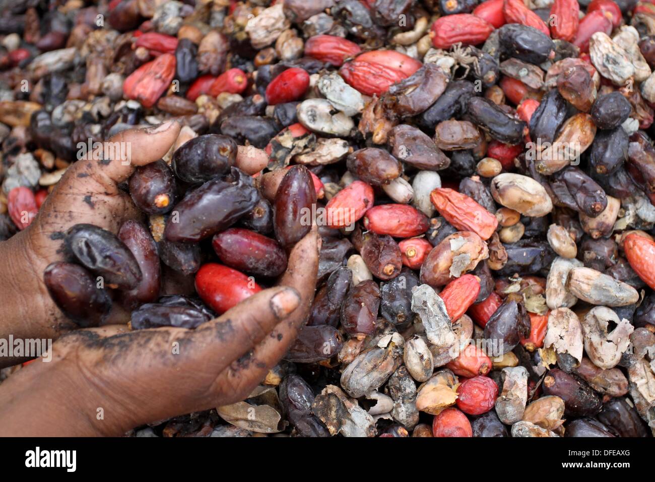 Yunis name in arabic hi-res stock photography and images - Alamy