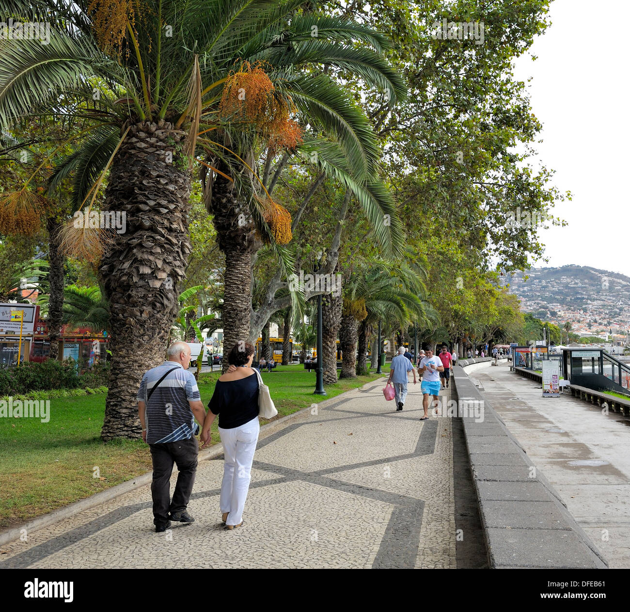 Funchal Promenade High Resolution Stock Photography and Images - Alamy