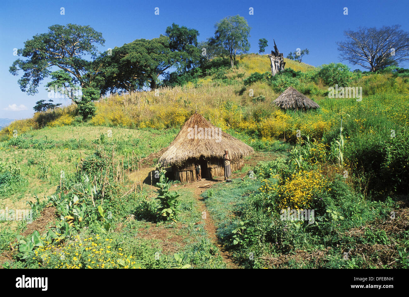 Oromo Village Hut High Resolution Stock Photography and Images - Alamy