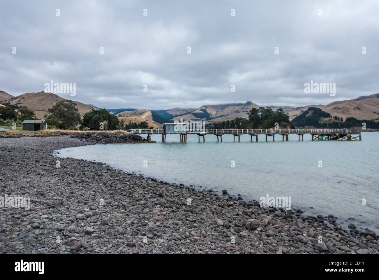 Paua hi-res stock photography and images - Alamy