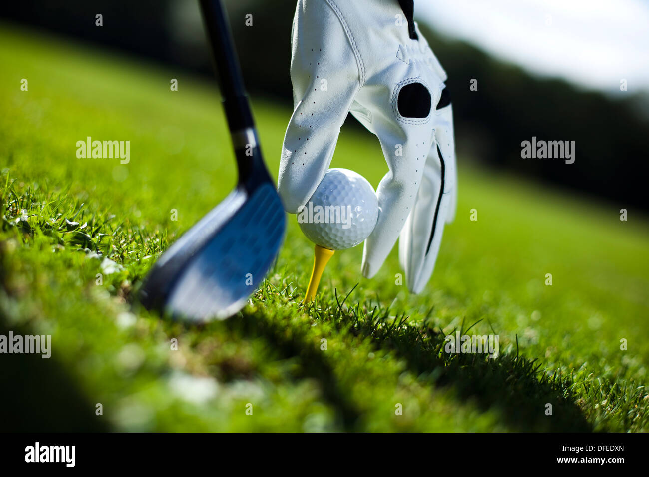 Playing golf, ball on tee Stock Photo - Alamy