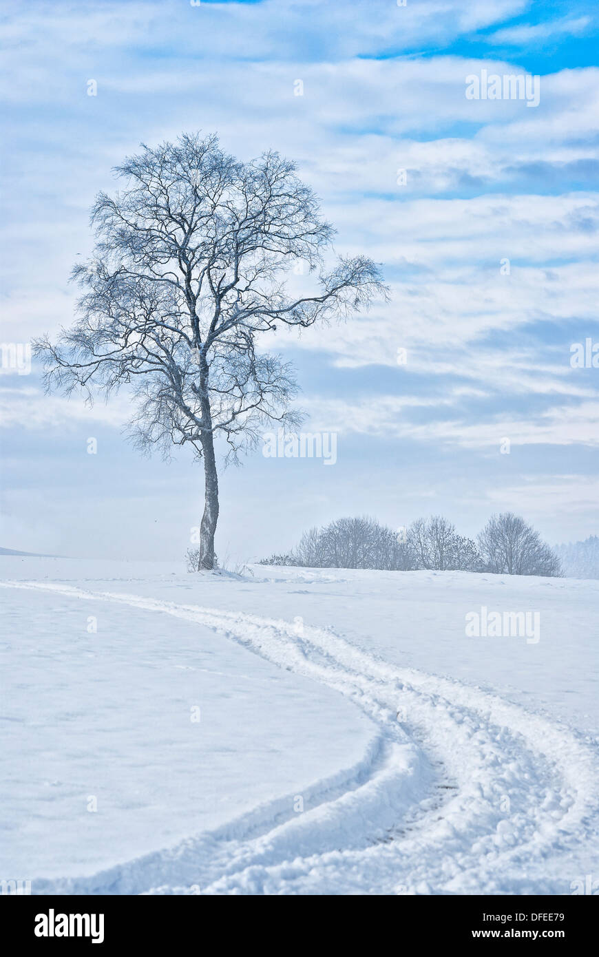 Lonely landscape lonely winter landscape hi-res stock photography and ...