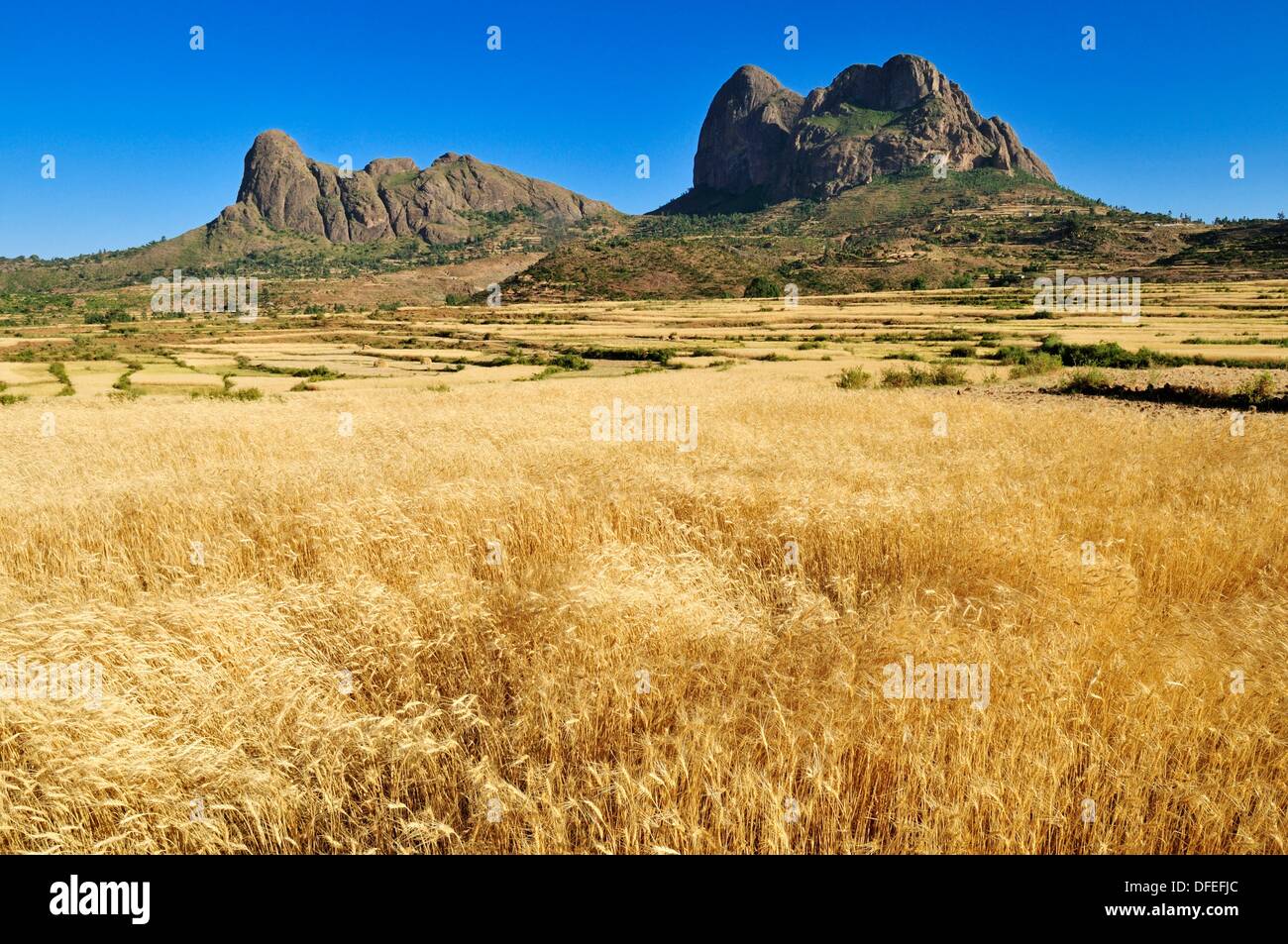 Adwa Mountains High Resolution Stock Photography and Images - Alamy