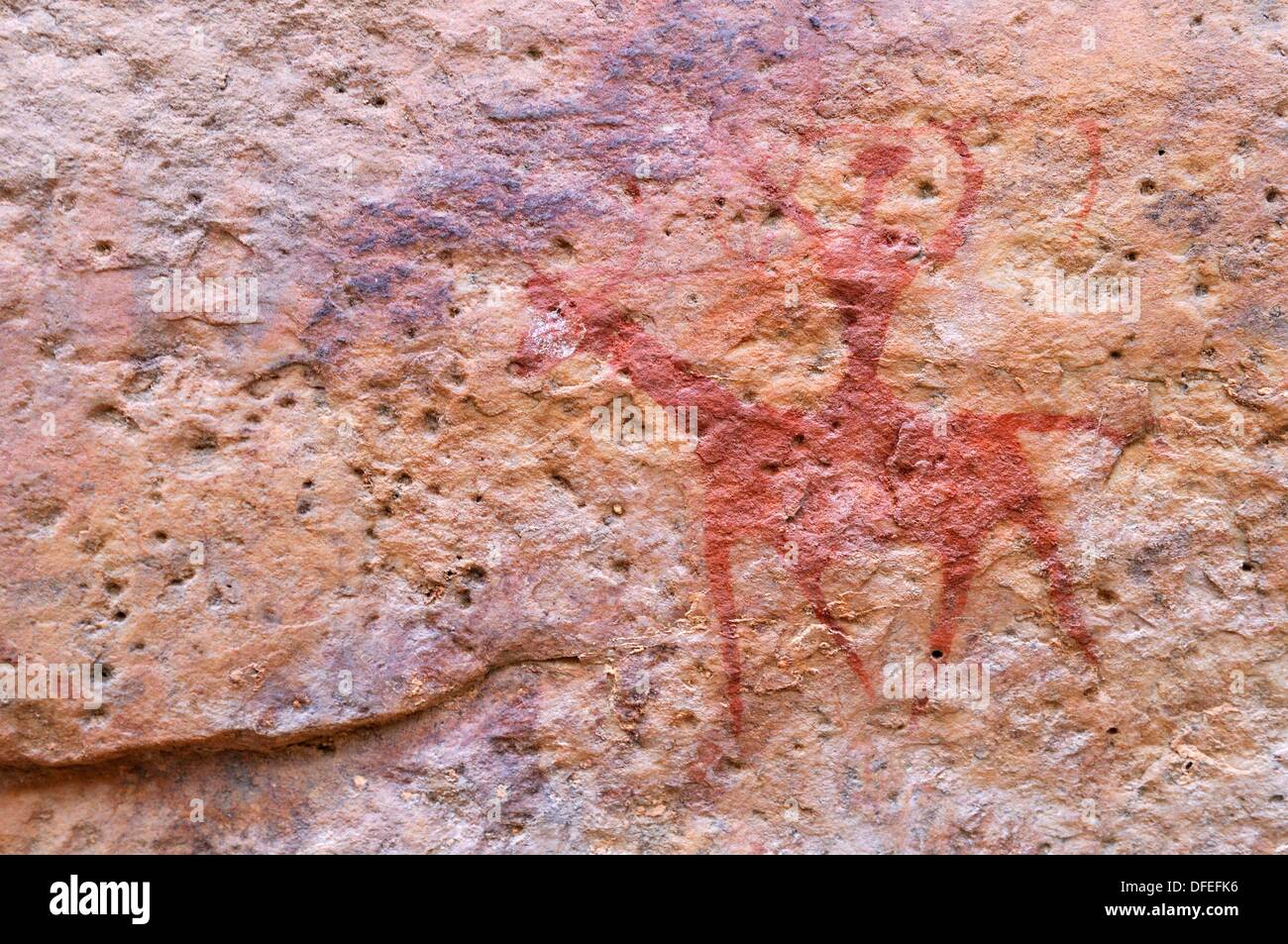 Neolithic horse hi-res stock photography and images - Alamy