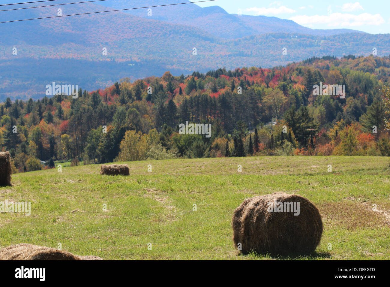 Circle bales of hay Stock Photo - Alamy