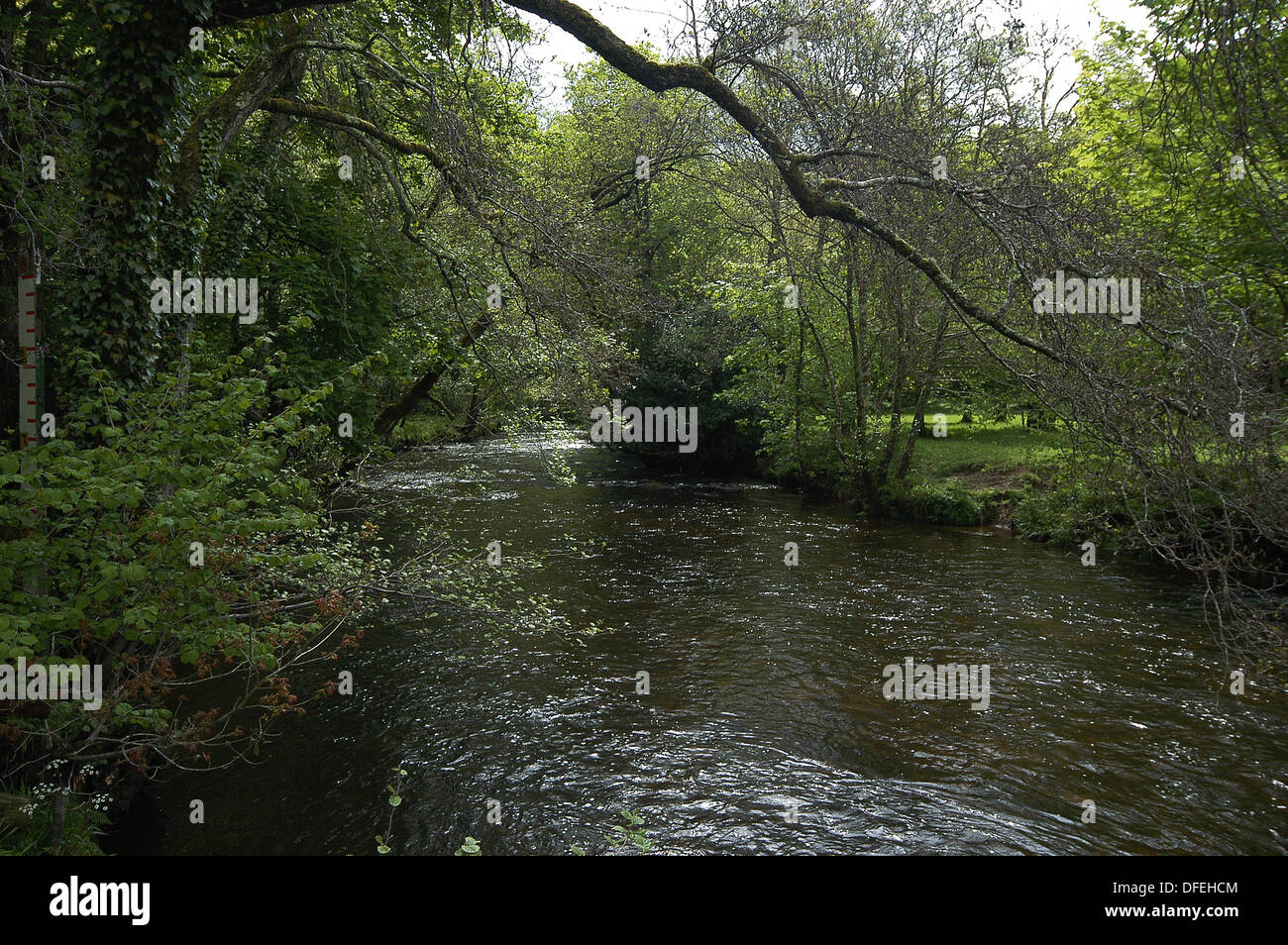 Teign river hi-res stock photography and images - Alamy