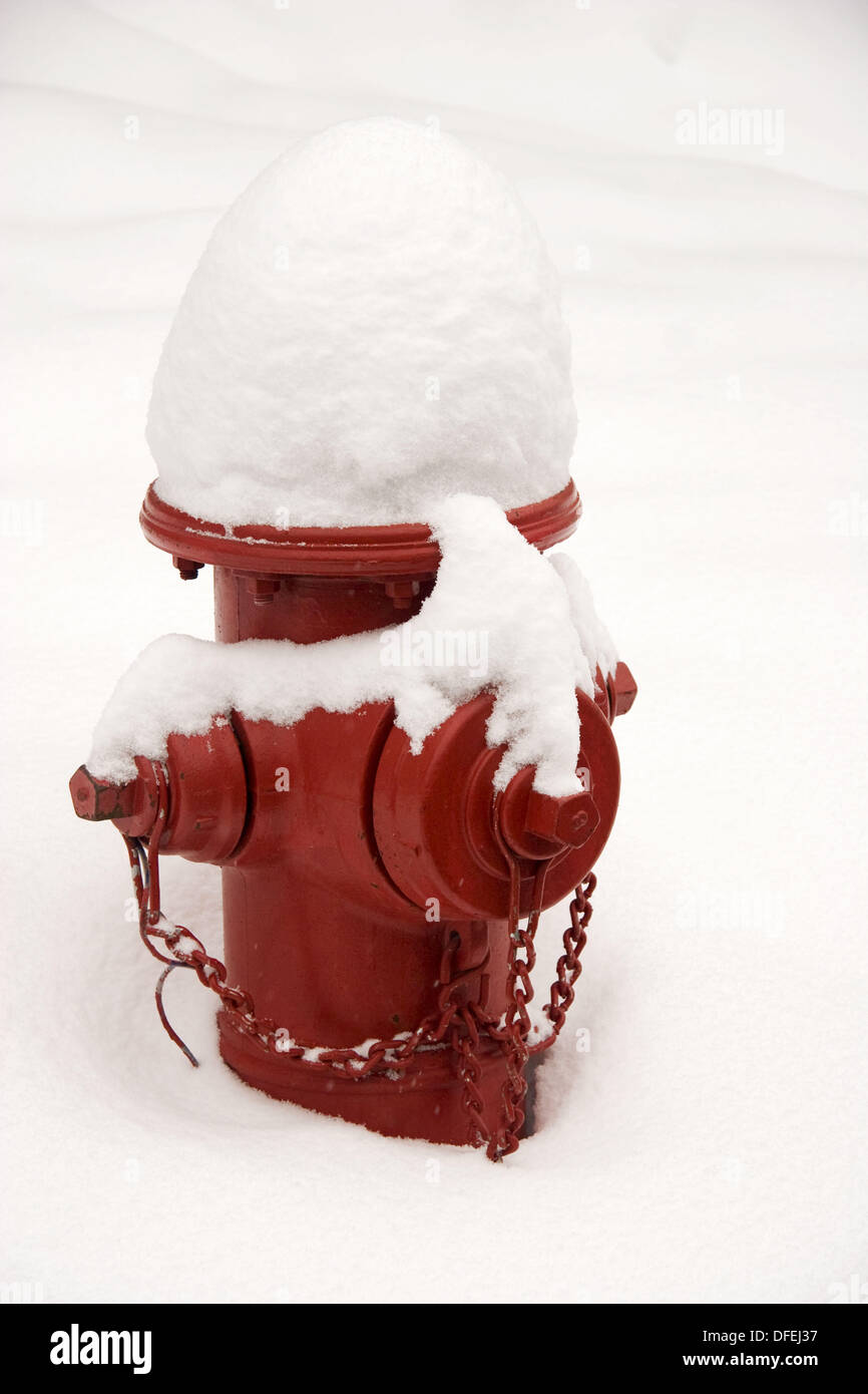 Water hydrant cover hi-res stock photography and images - Alamy